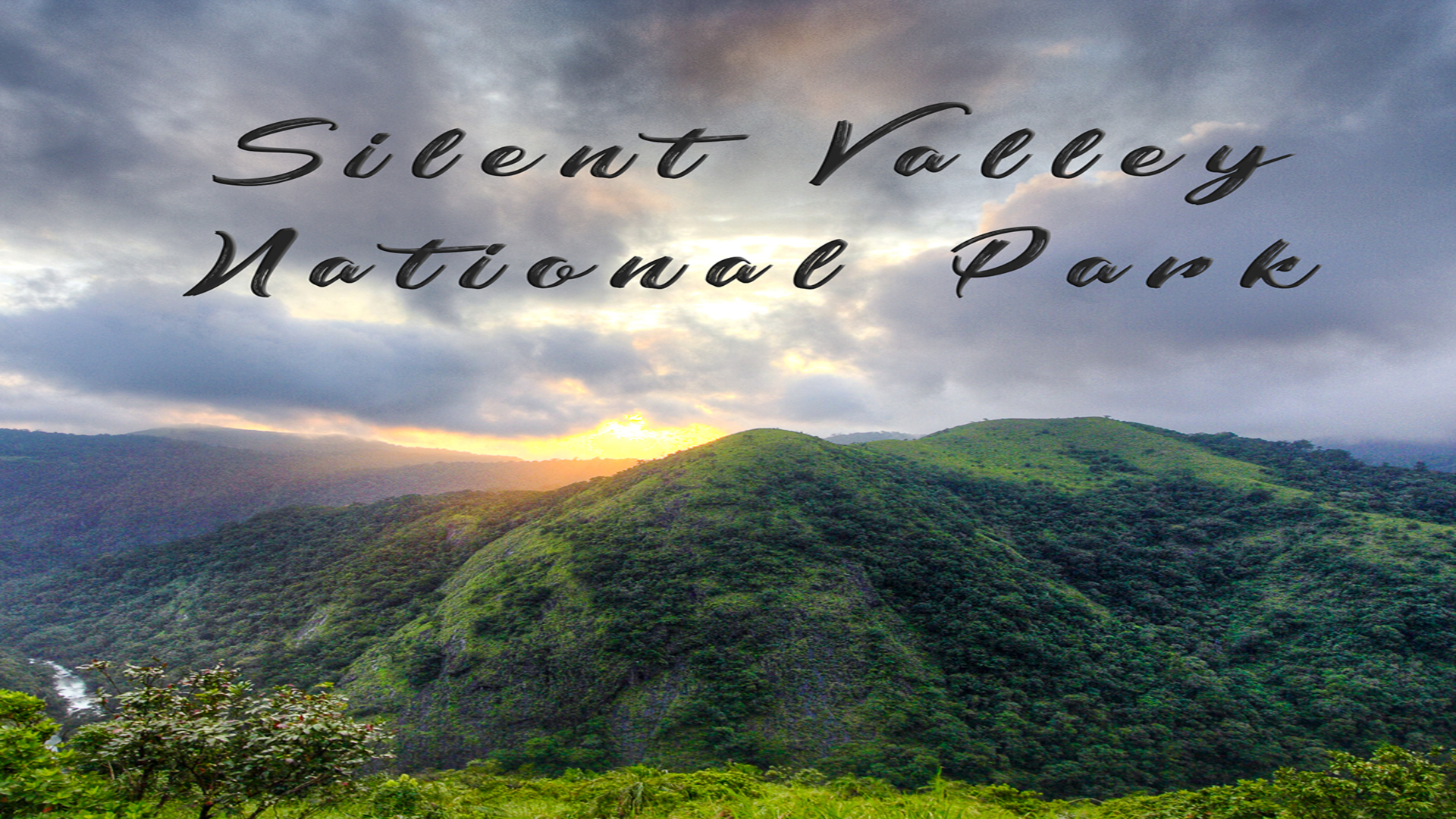 Silent Valley National Park | Silent Valley National Park In Kerala
